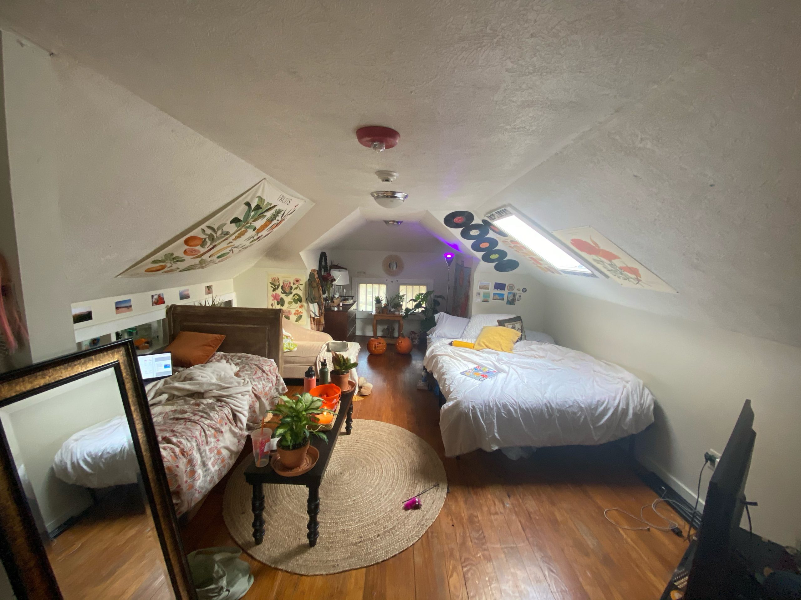 Beal - Spartan Housing Co-op Spartan Housing Co-op